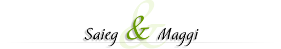 Saieg & Maggi / Login